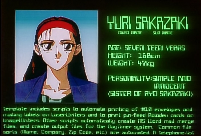 Art of Fighting -RQ87's Cartoon Coverage