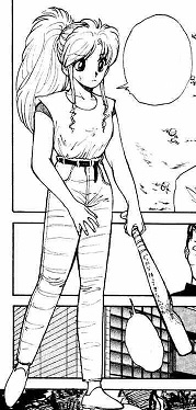 The Four Saint Beasts in the Labyrinthine Castle! A Challenge to the ...